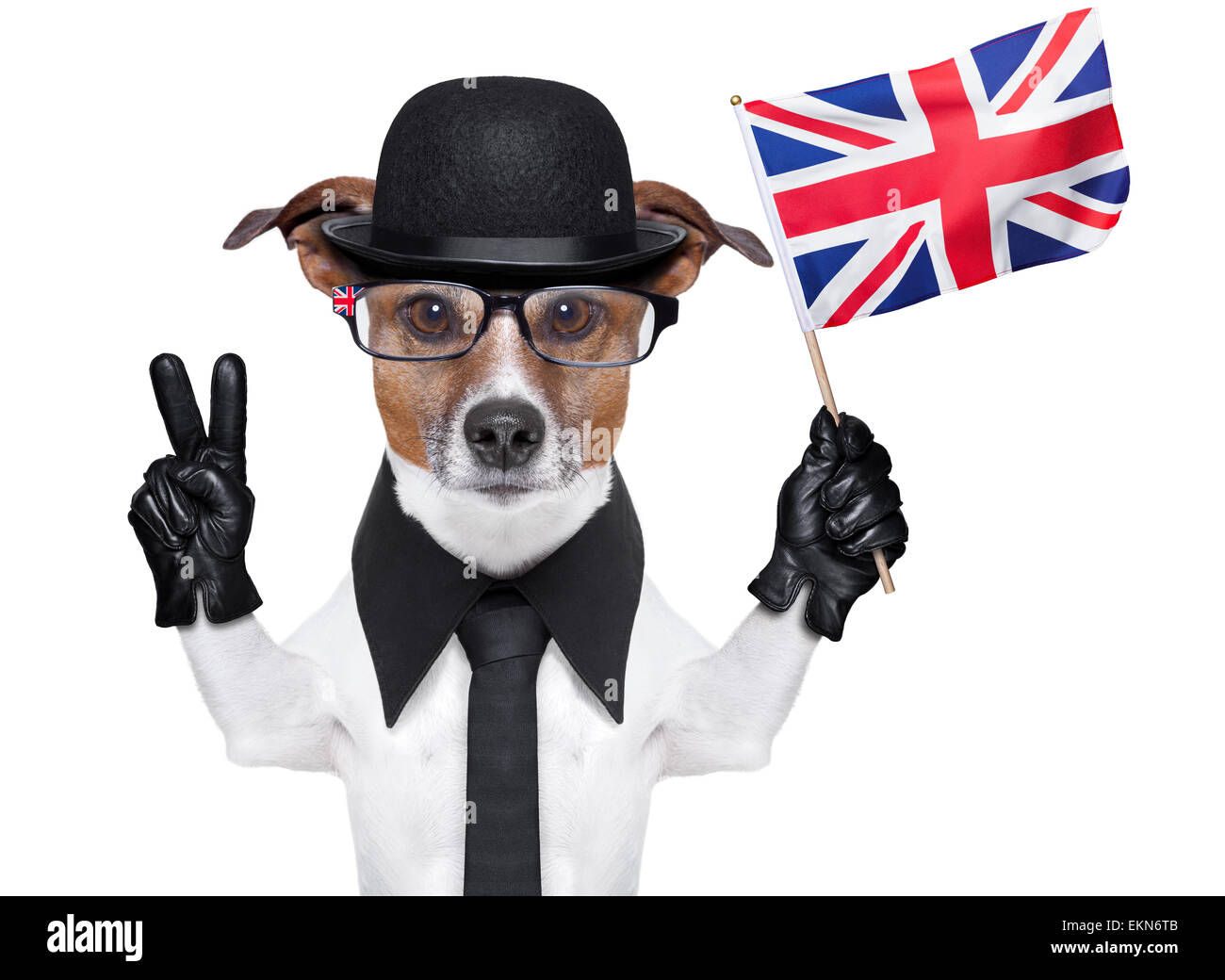 british dog banner Stock Photo - Alamy