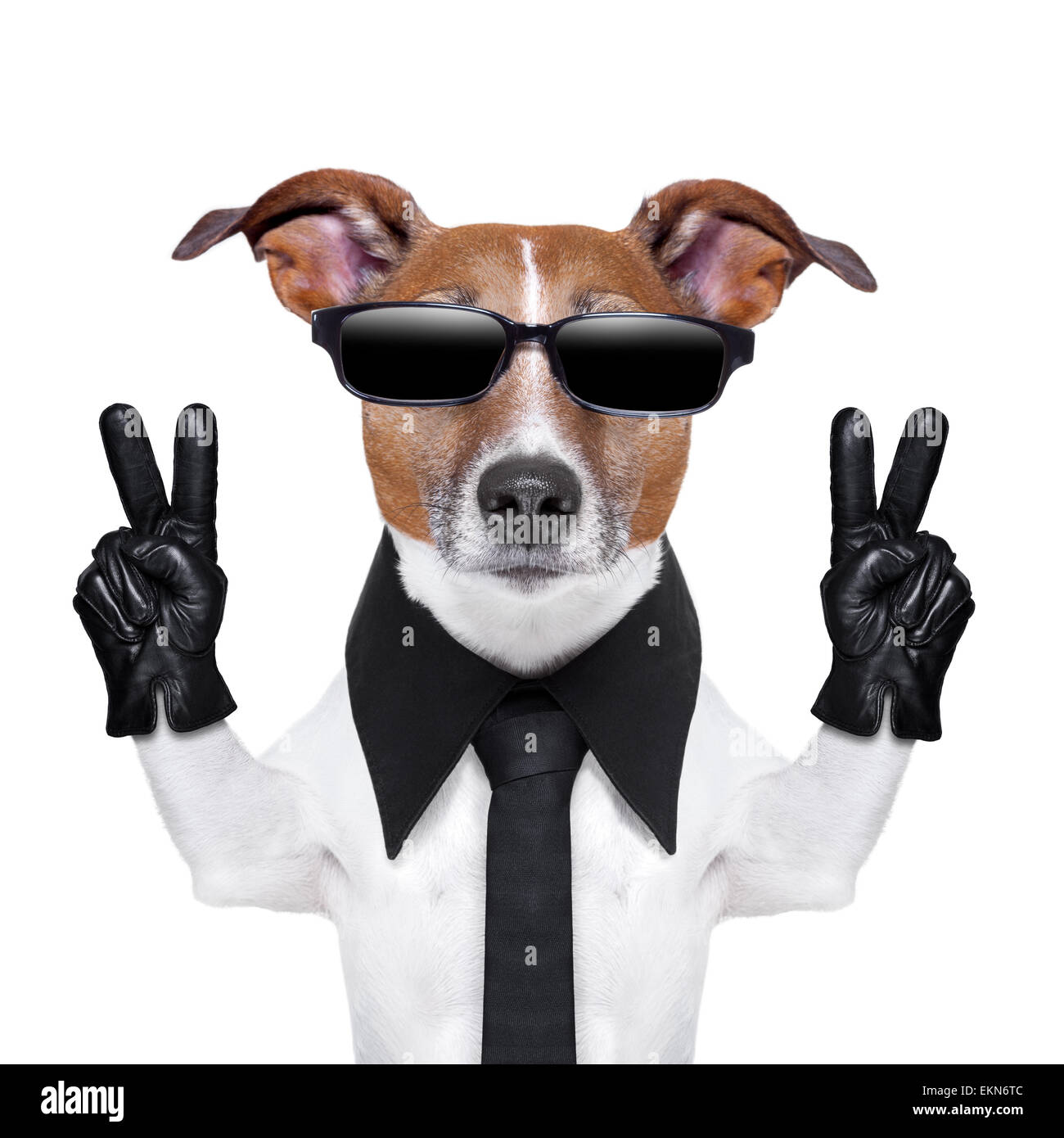 Leather dog costume hi-res stock photography and images - Alamy