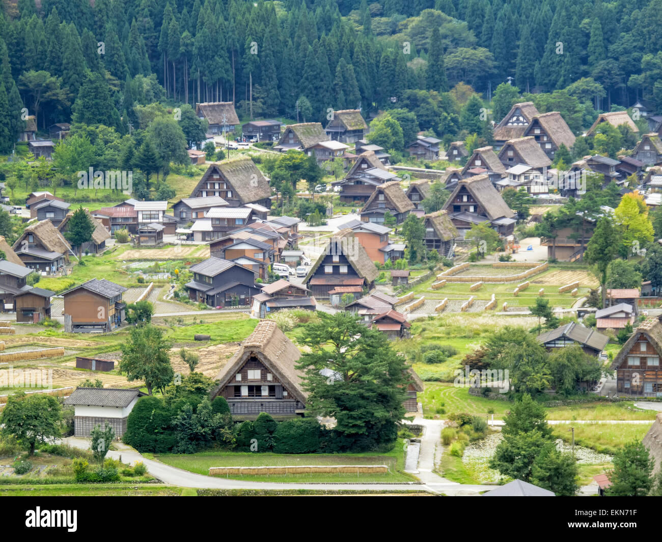 Village of traditional gassho zukuri style houses in the Gokayama ...