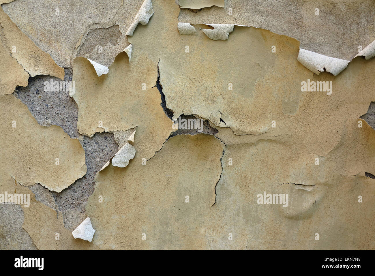 plaster bulges - blistering Stock Photo - Alamy
