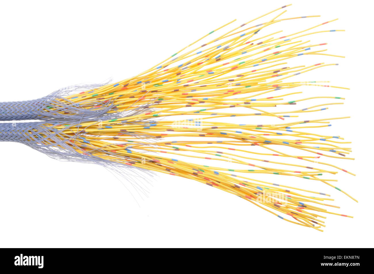 Yellow electrical wires with cable shield Stock Photo - Alamy