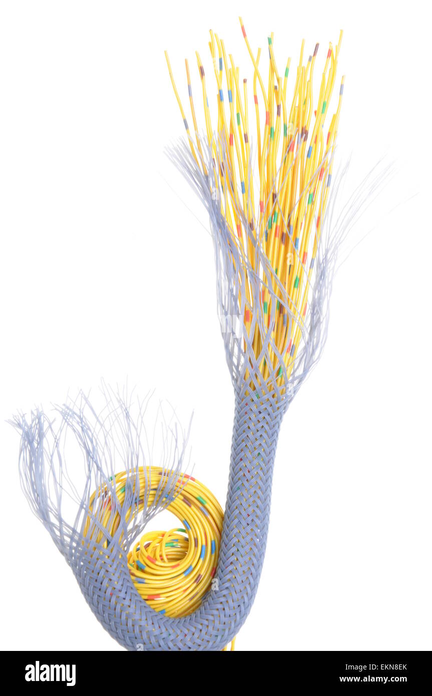 Yellow electrical wires with cable shield Stock Photo - Alamy