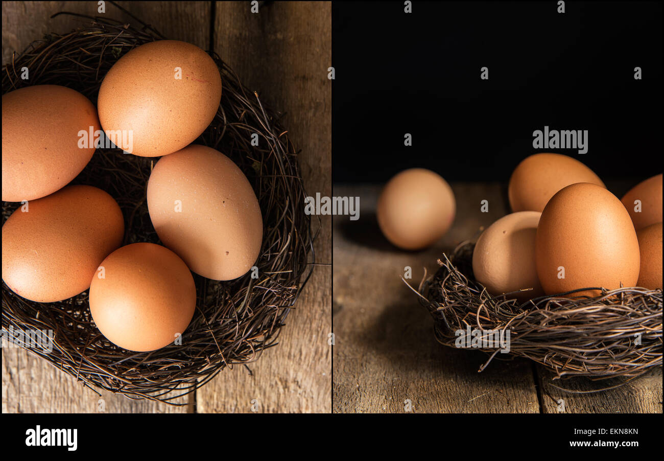 Compilation of fresh eggs images in moody natural lighting setting with vintage style Stock ...