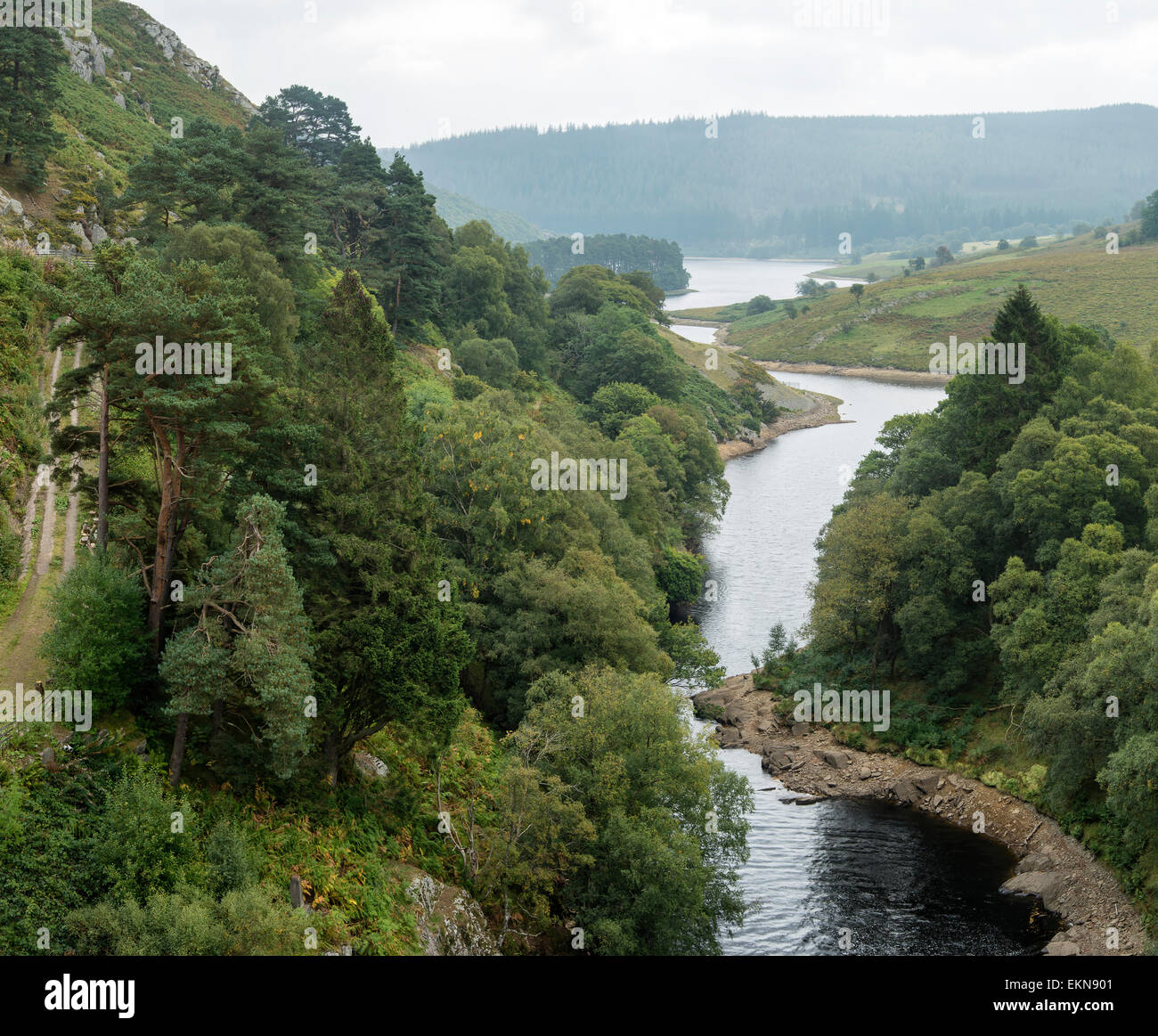 Landscape image looking down onto river flowing through forest in ...