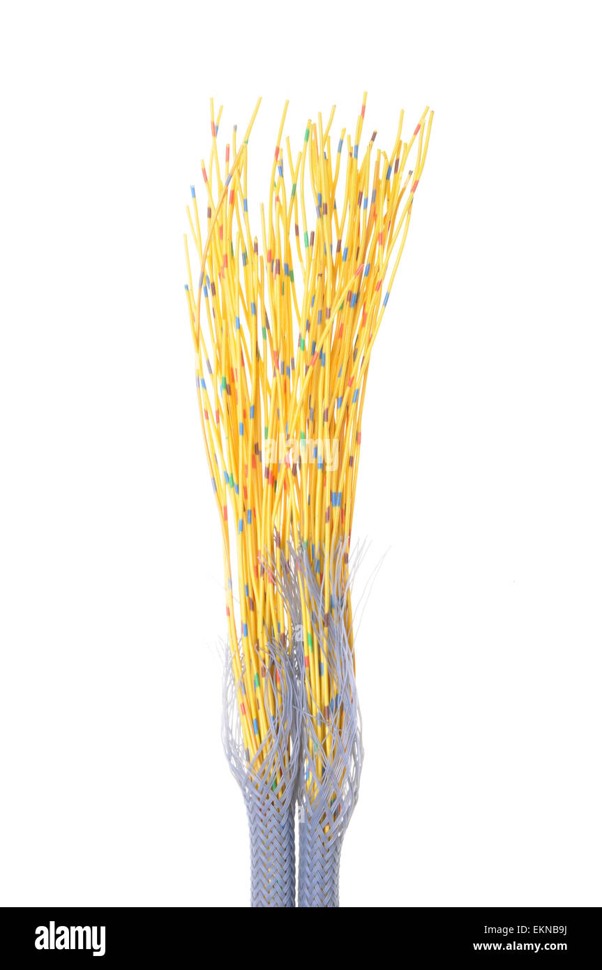Yellow electrical wires with cable shield Stock Photo - Alamy