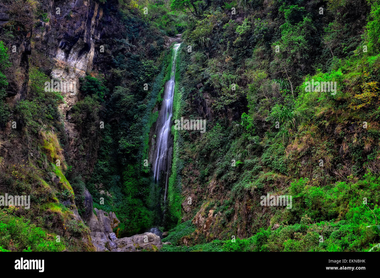 Beautiful deep forest waterfall flow hi-res stock photography and ...