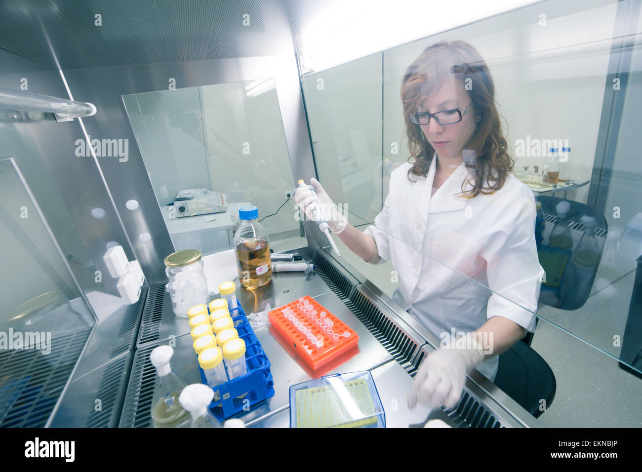 Life scientist researching in the laboratory Stock Photo - Alamy