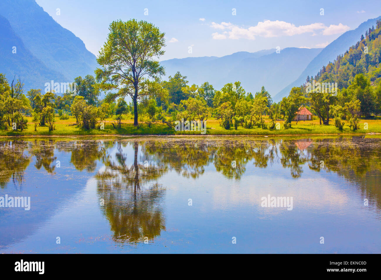 Green nature landscape with mountains Stock Photo - Alamy