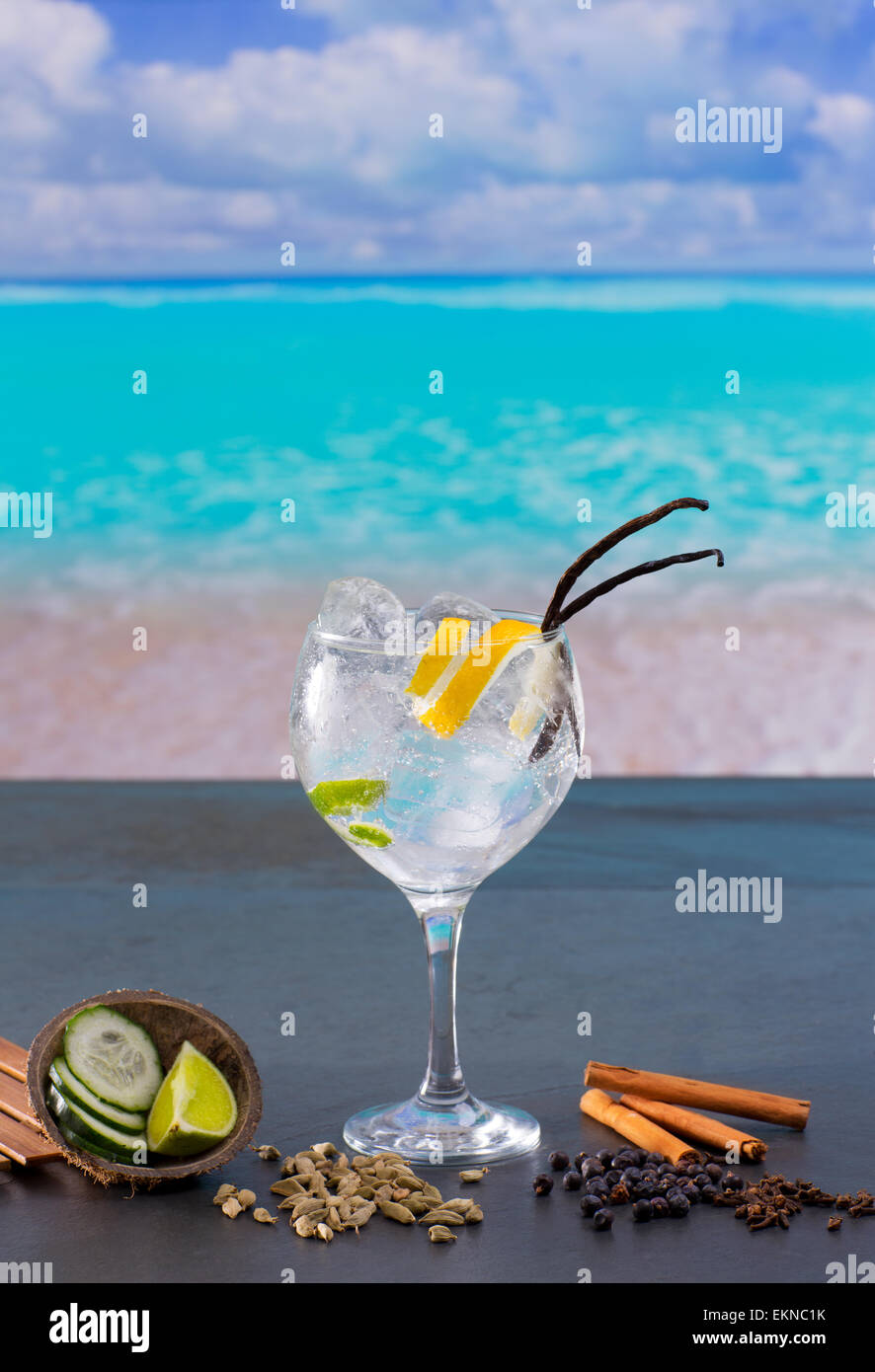 Gin tonic cocktail with spices in tropical Caribbean beach Stock Photo ...