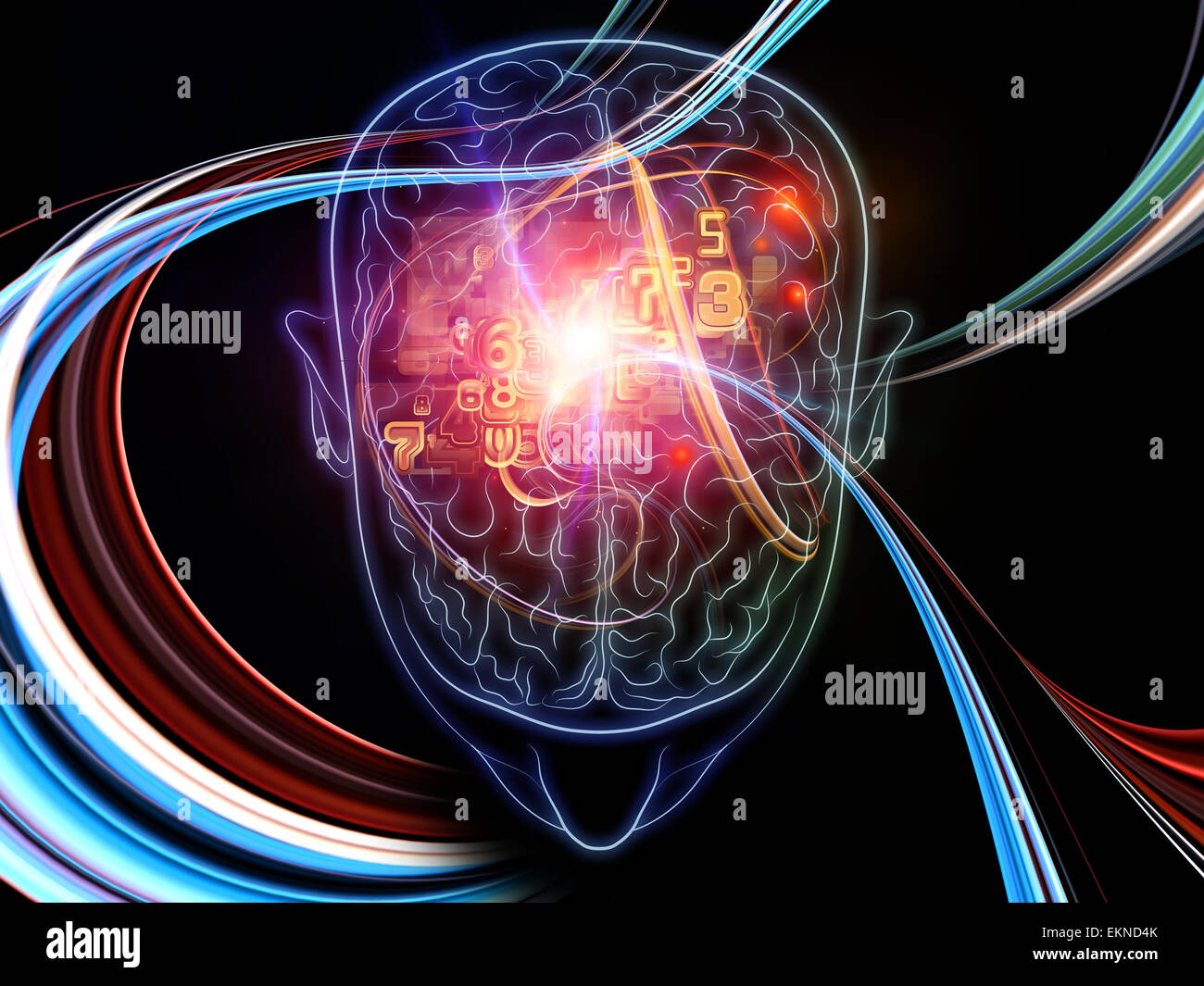 Brain pathways hi-res stock photography and images - Alamy