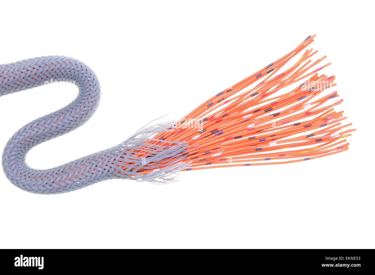 Orange electrical wires with cable shield Stock Photo - Alamy