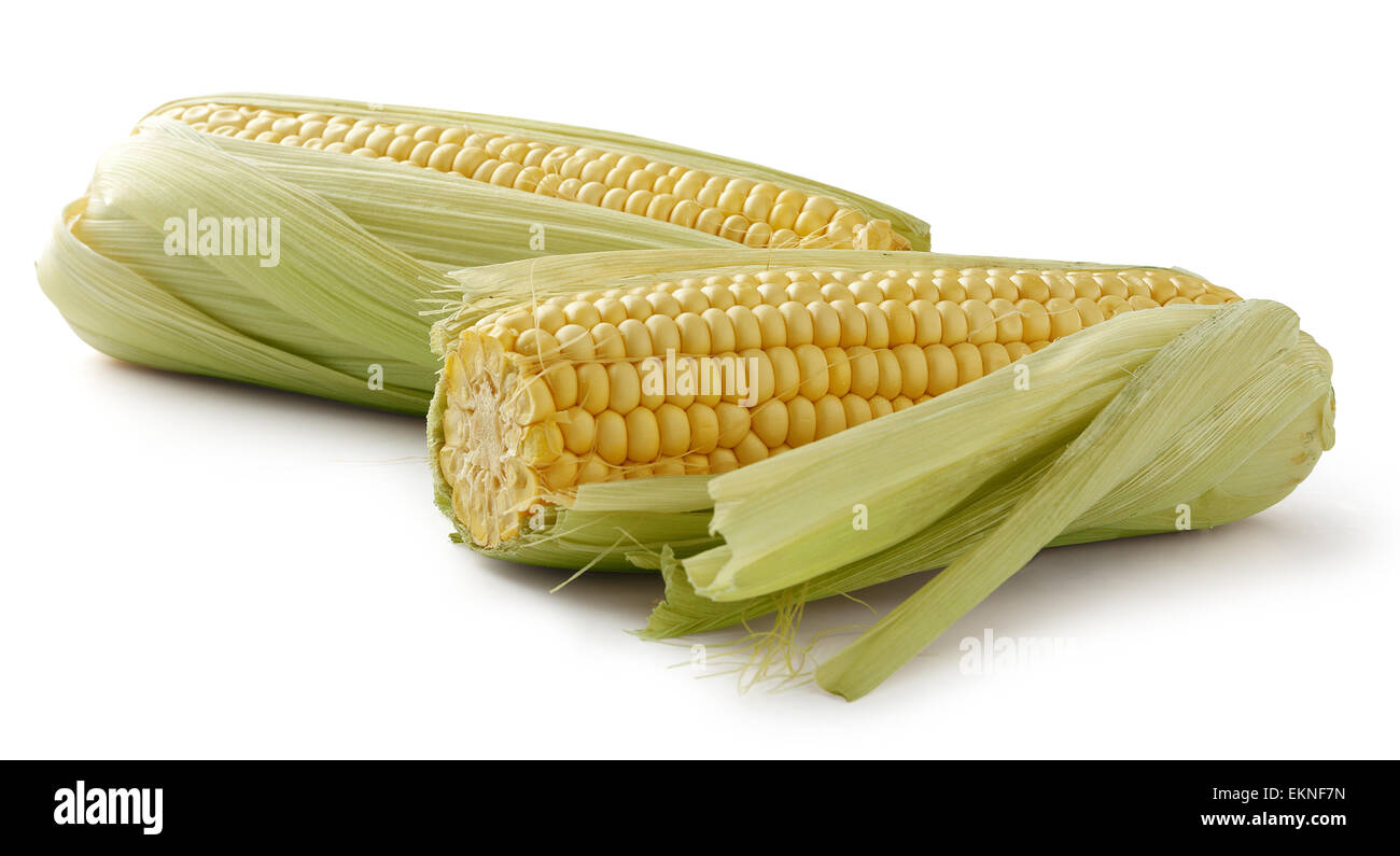 Corncobs High Resolution Stock Photography and Images - Alamy
