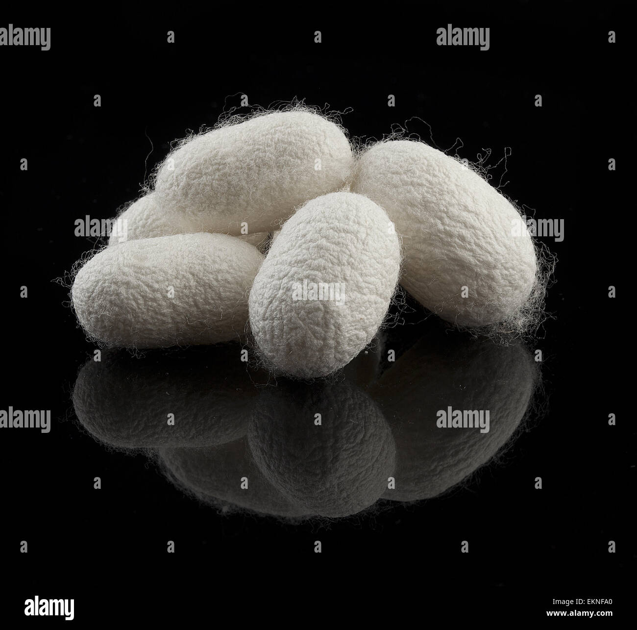 Cocoon material hi-res stock photography and images - Alamy