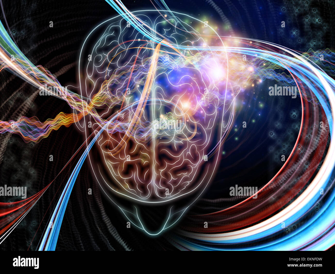 Brain pathways hi-res stock photography and images - Alamy