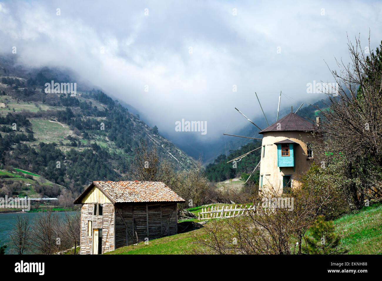Windmill forest hi-res stock photography and images - Alamy