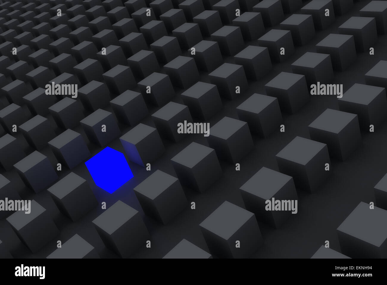 Choice is obvious hi-res stock photography and images - Alamy