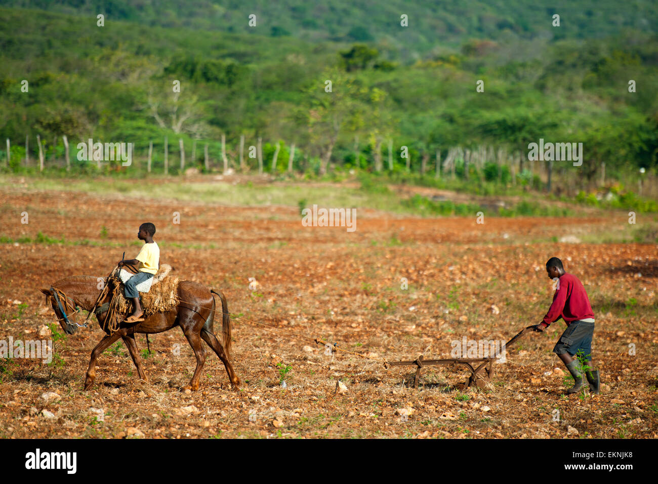 Dominikanische Republik, Südwesten, Halbinsel Baoruco, bei Pedernales ...