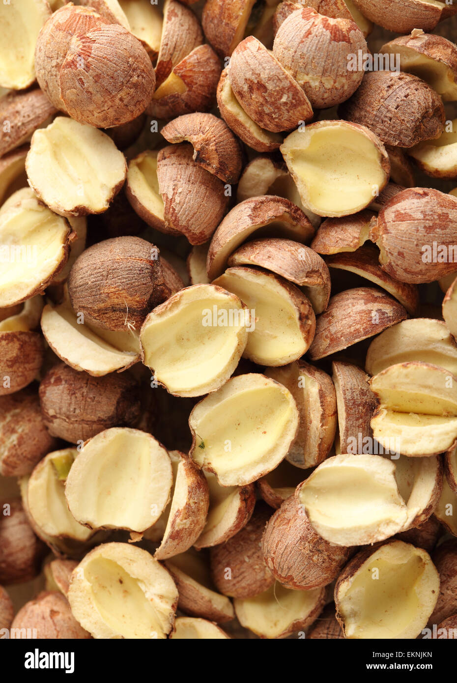 Fox nuts, traditional chinese medicine Stock Photo - Alamy