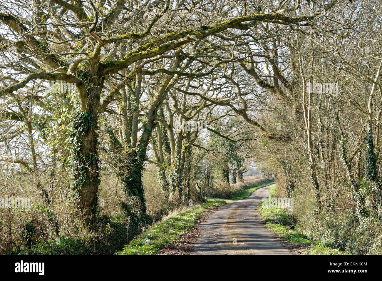 Isle Of Wight Countryside High Resolution Stock Photography and Images ...