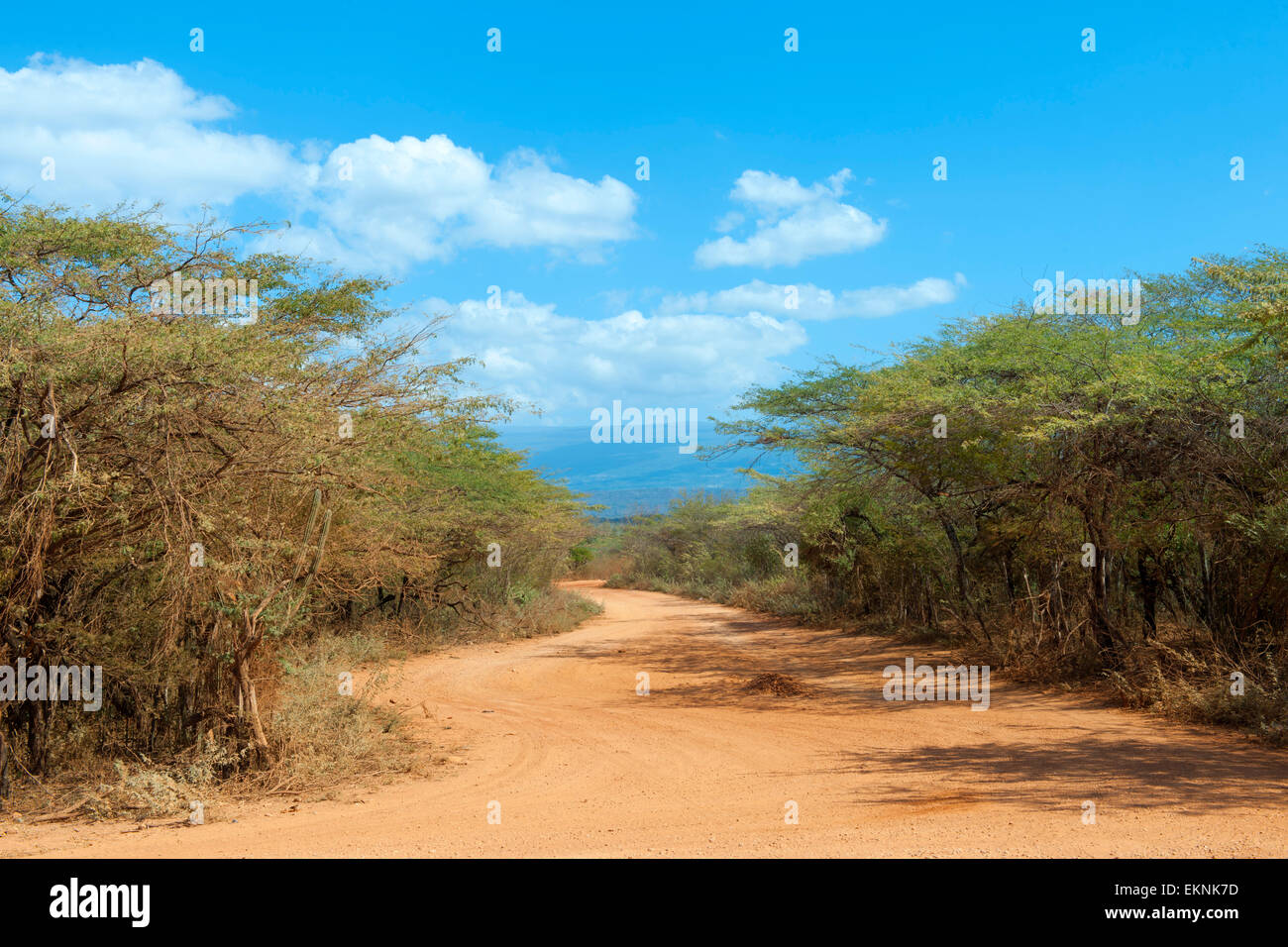 Dominikanische Republik, Südwesten, Halbinsel Baoruco, bei Pedernales ...