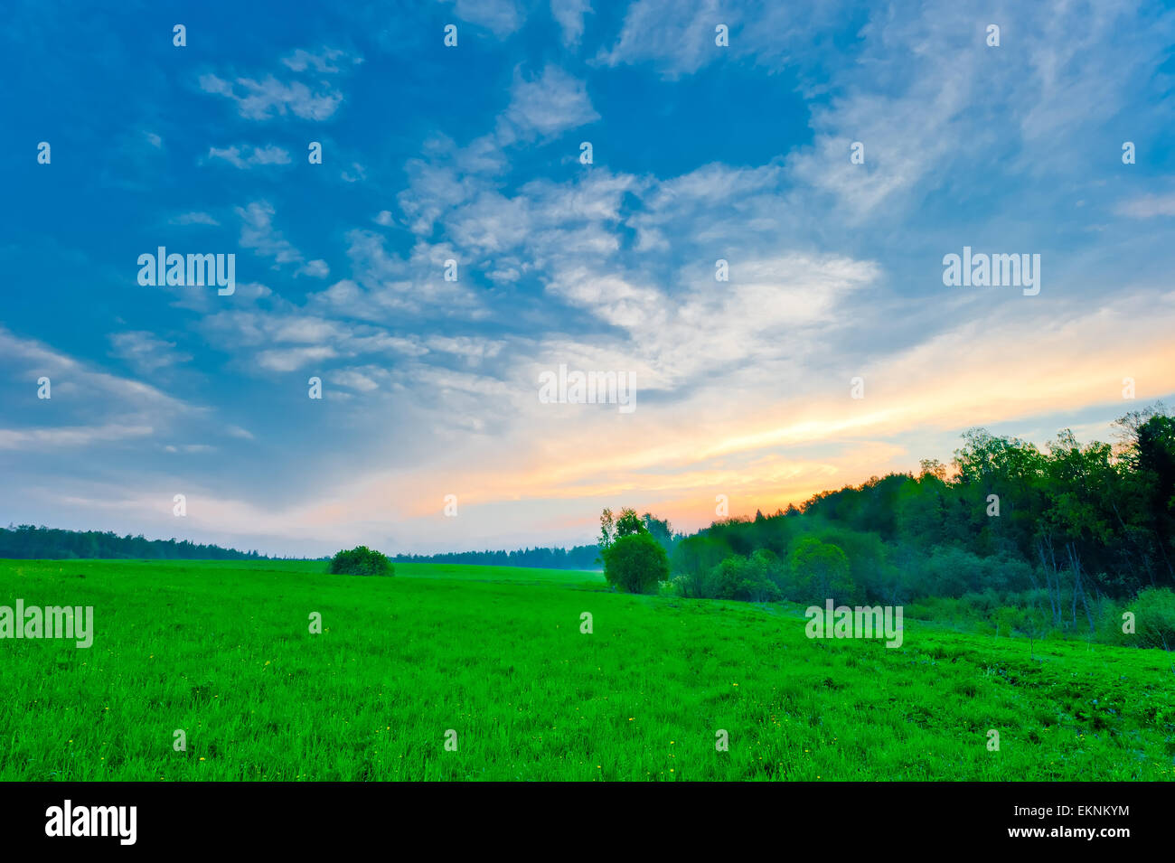 Bright grass blue sky hi-res stock photography and images - Alamy