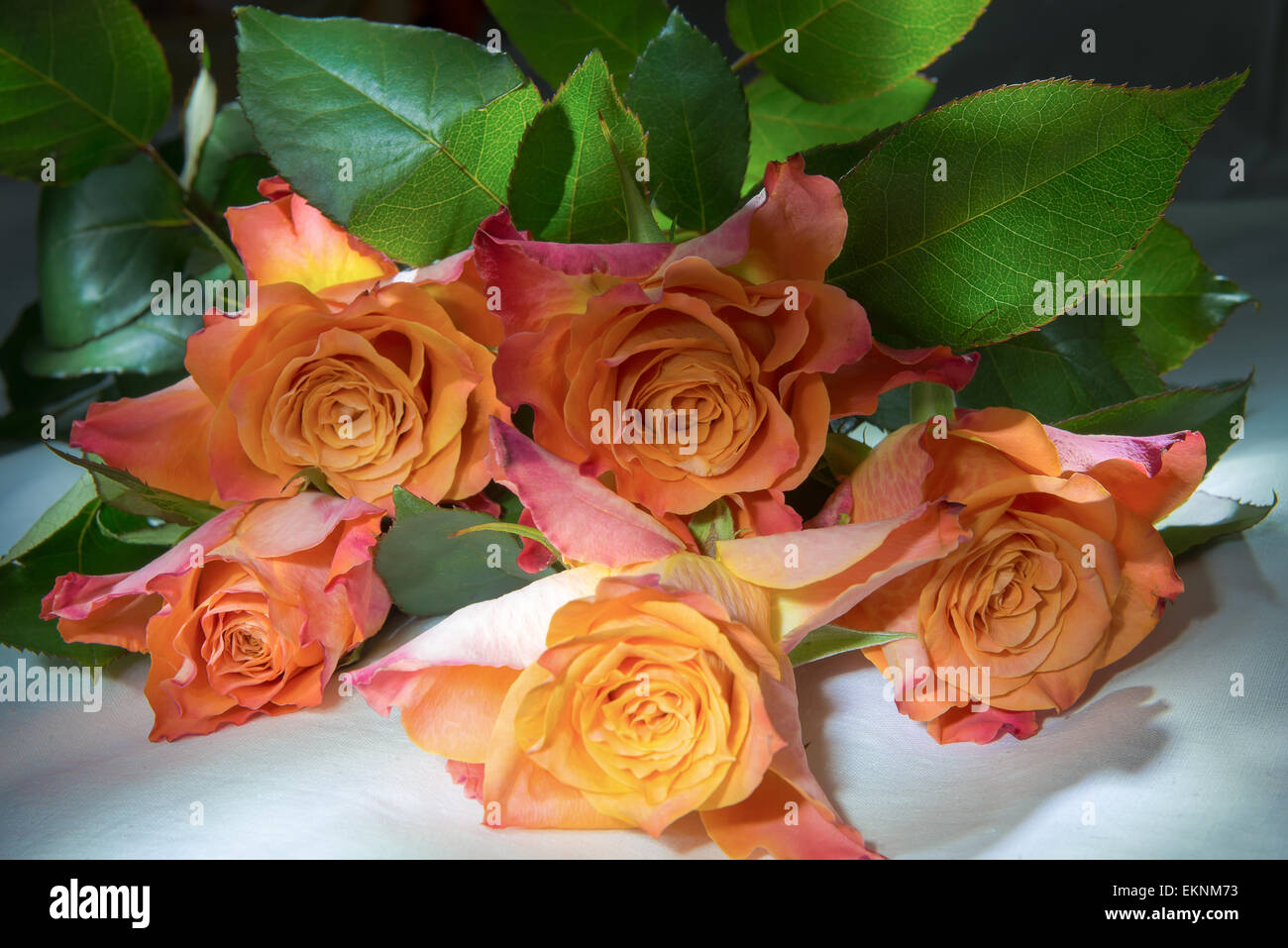 Bouquet of five roses lying on a white background and highlighted ...