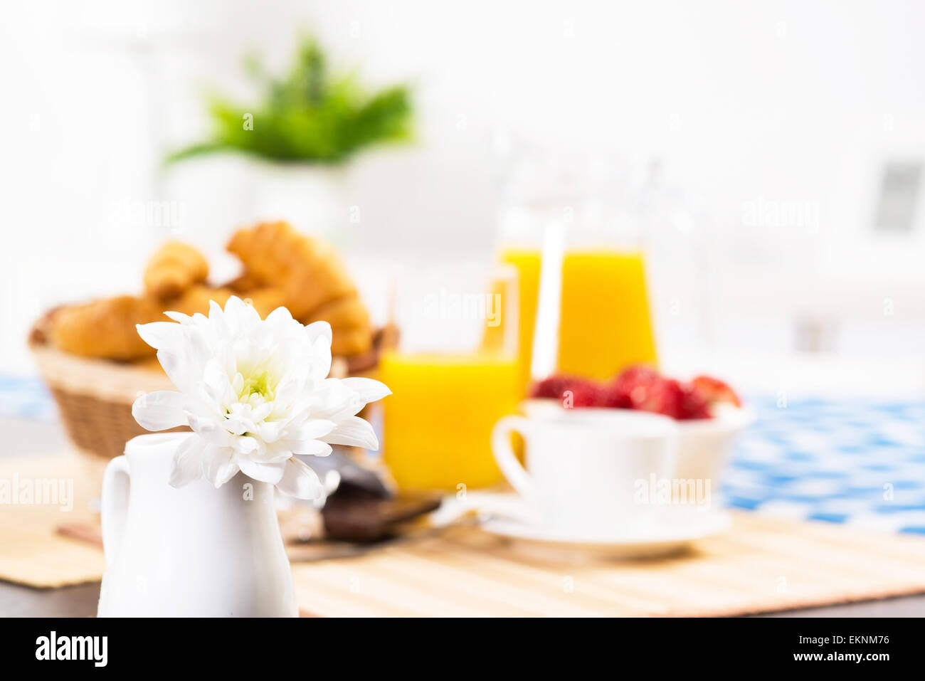 white flowers in a jug Stock Photo - Alamy