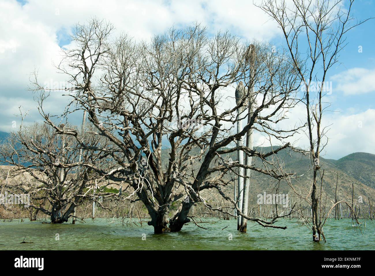 Dominikanische Republik, Südwesten, Halbinsel Baoruco, Parque Nacional ...
