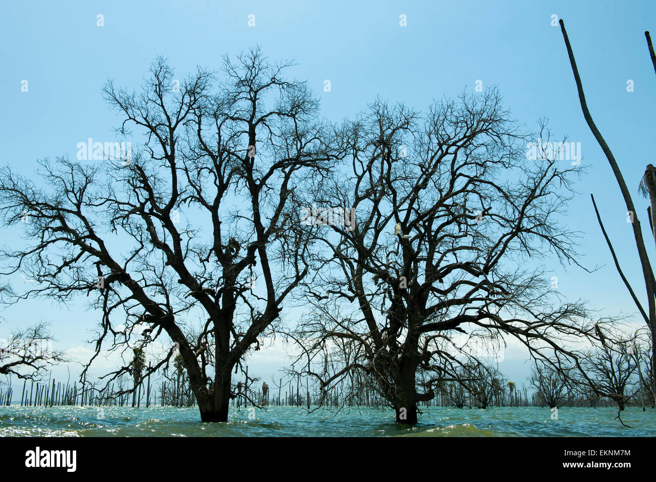 Dominikanische Republik, Südwesten, Halbinsel Baoruco, Parque Nacional ...