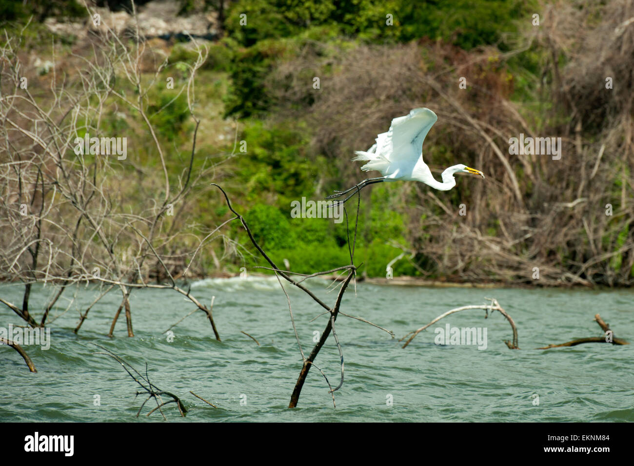 Dominikanische Republik, Südwesten, Halbinsel Baoruco, Parque Nacional ...