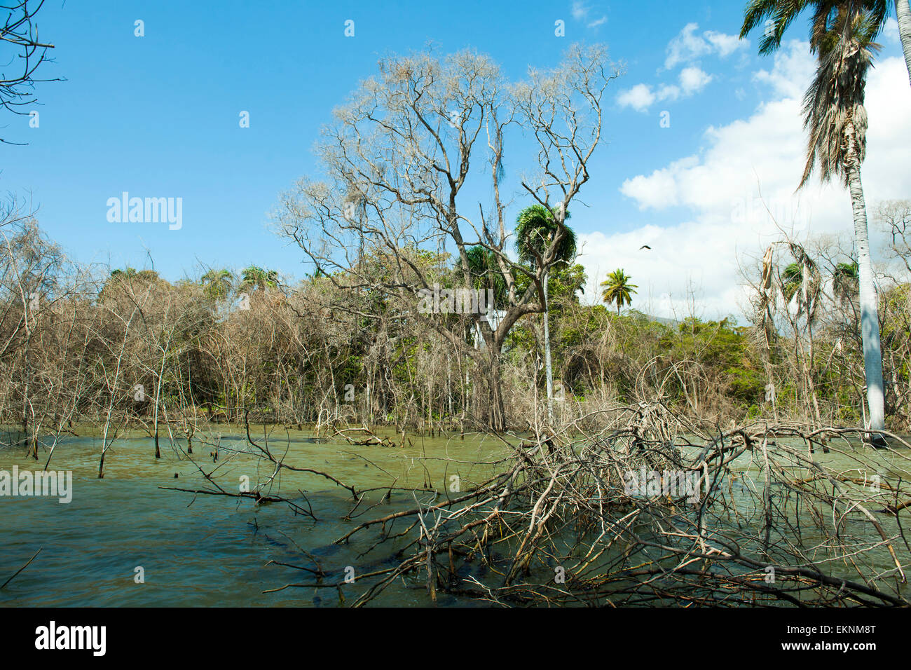 Dominikanische Republik, Südwesten, Halbinsel Baoruco, Parque Nacional ...