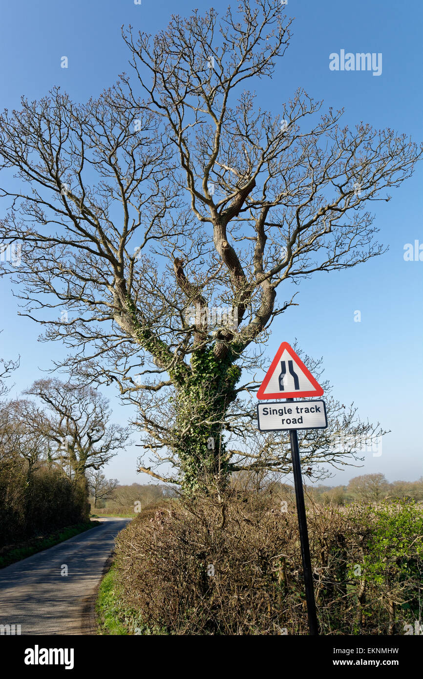 Single Track Road Sign, Shalfleet, Isle of Wight, England, UK, GB Stock ...