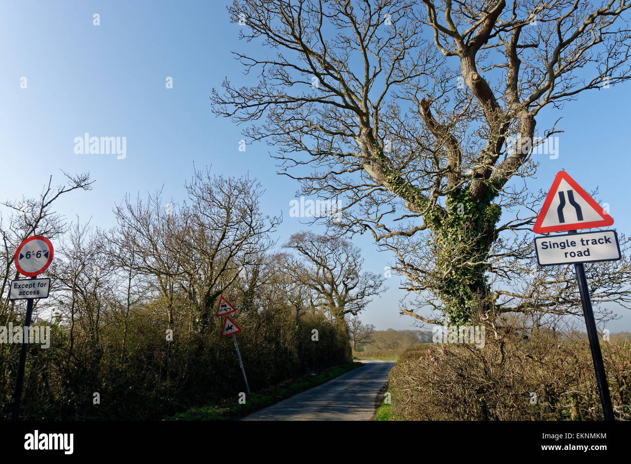 Single Track Road Sign, Shalfleet, Isle of Wight, England, UK, GB Stock ...