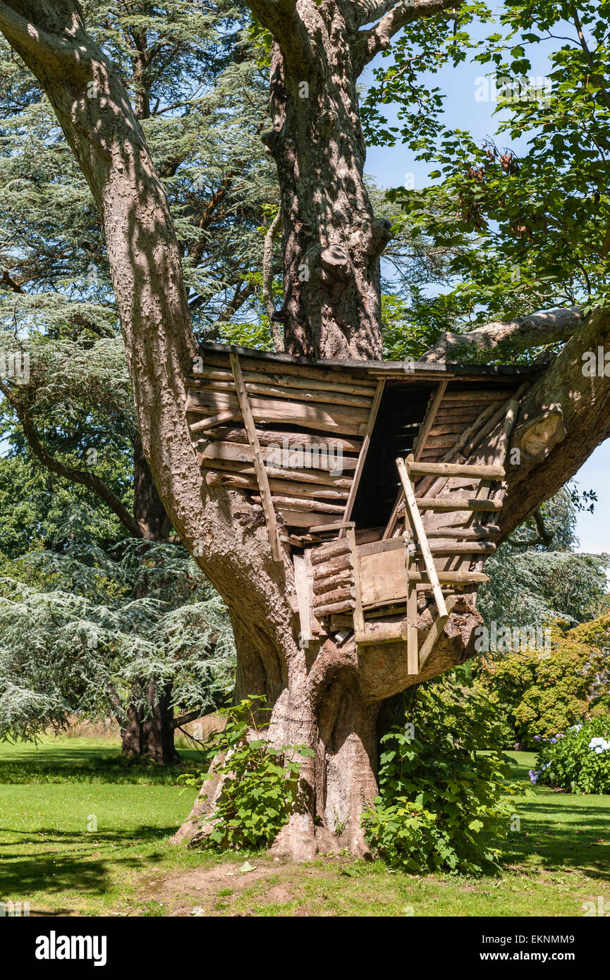 Treehouse uk hi-res stock photography and images - Alamy