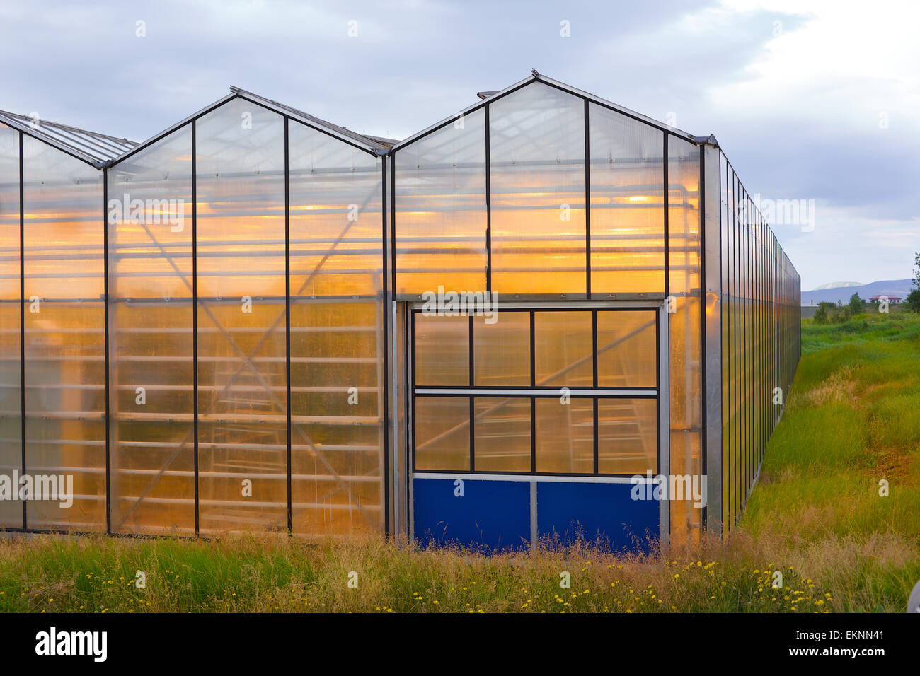 Geothermal greenhouse hi-res stock photography and images - Alamy