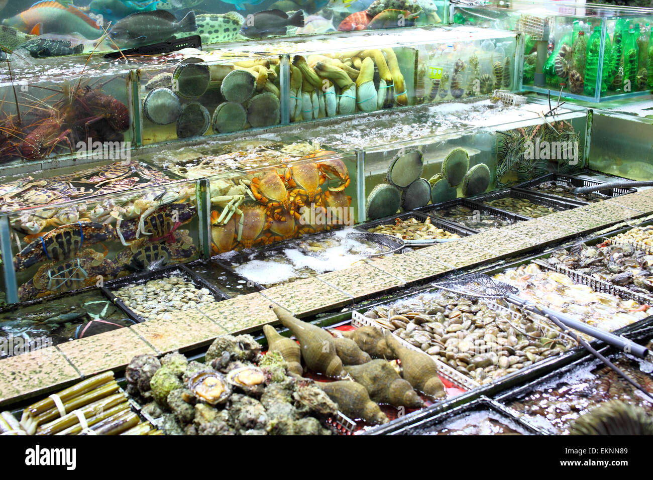 Fish tank in market Stock Photo - Alamy