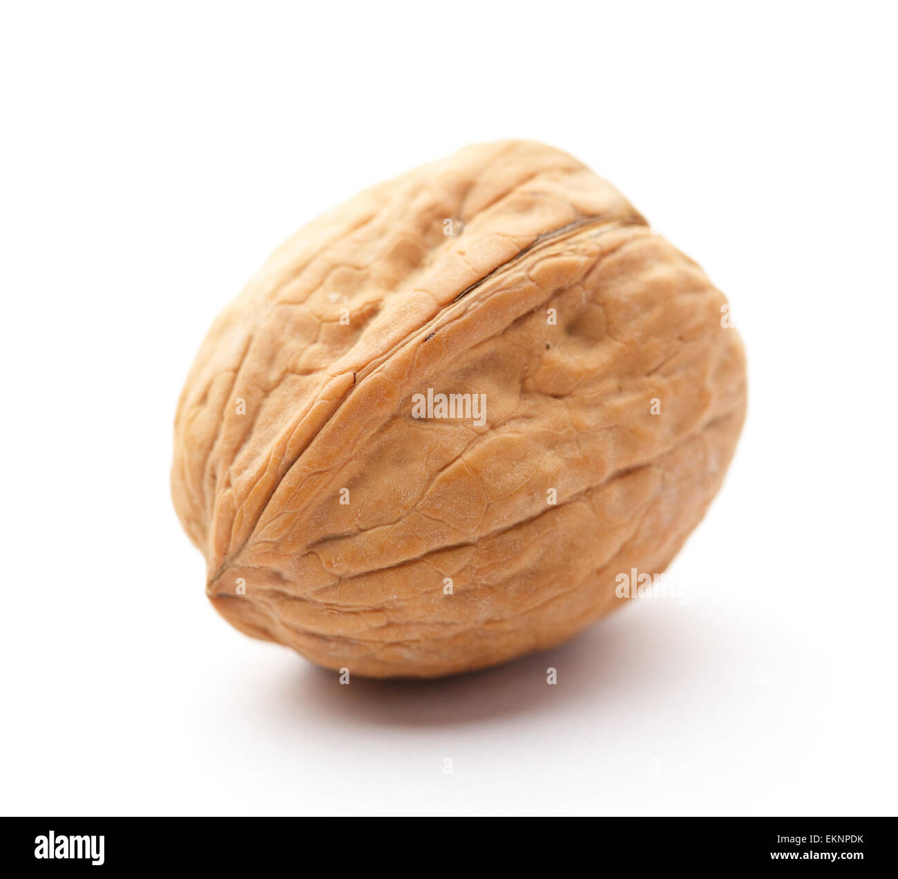 Walnut on white background Stock Photo - Alamy