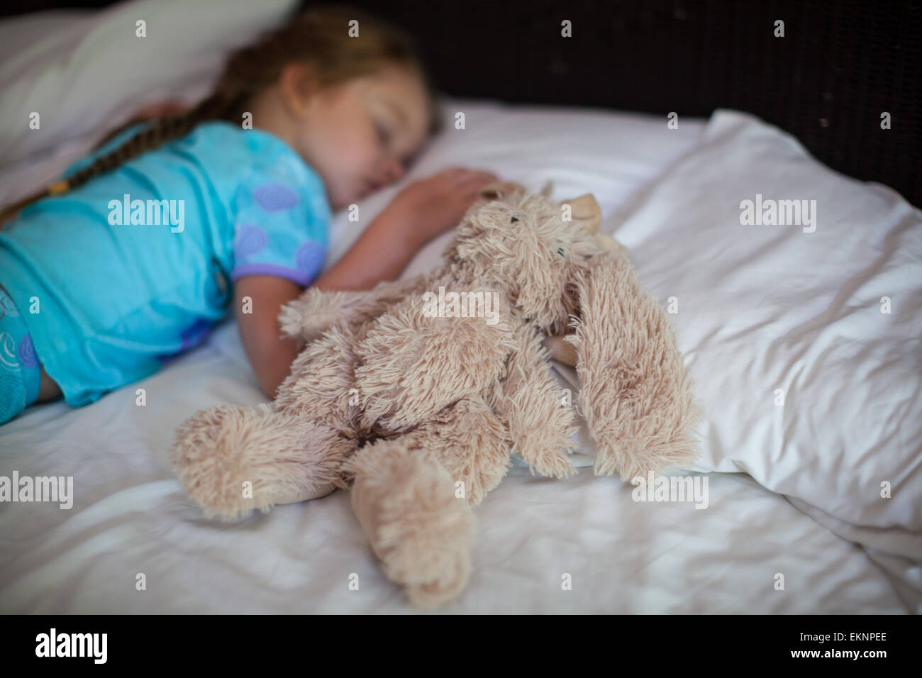 Adorable toddler taking a nap Stock Photo - Alamy
