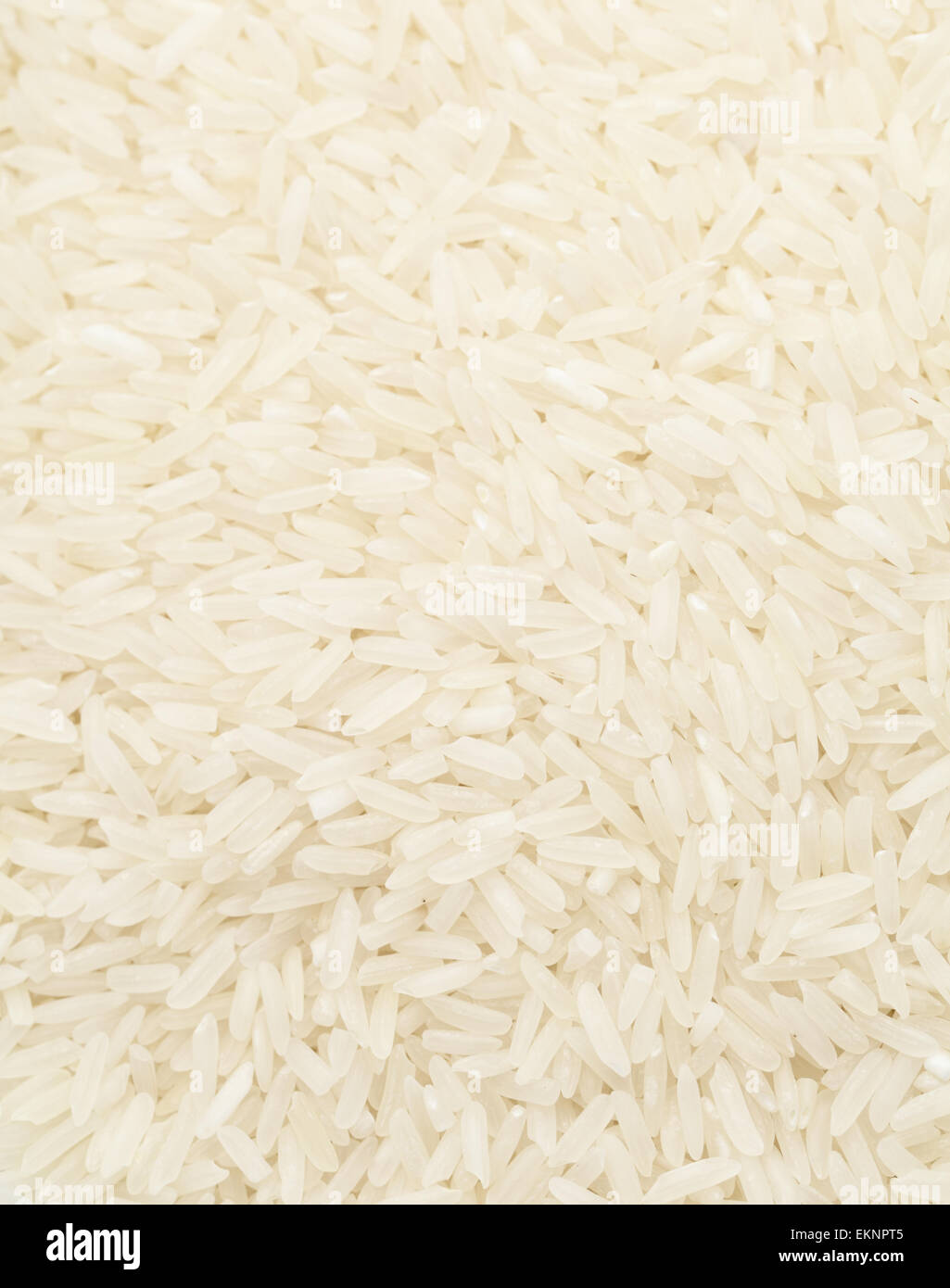 Uncooked white rice Stock Photo - Alamy