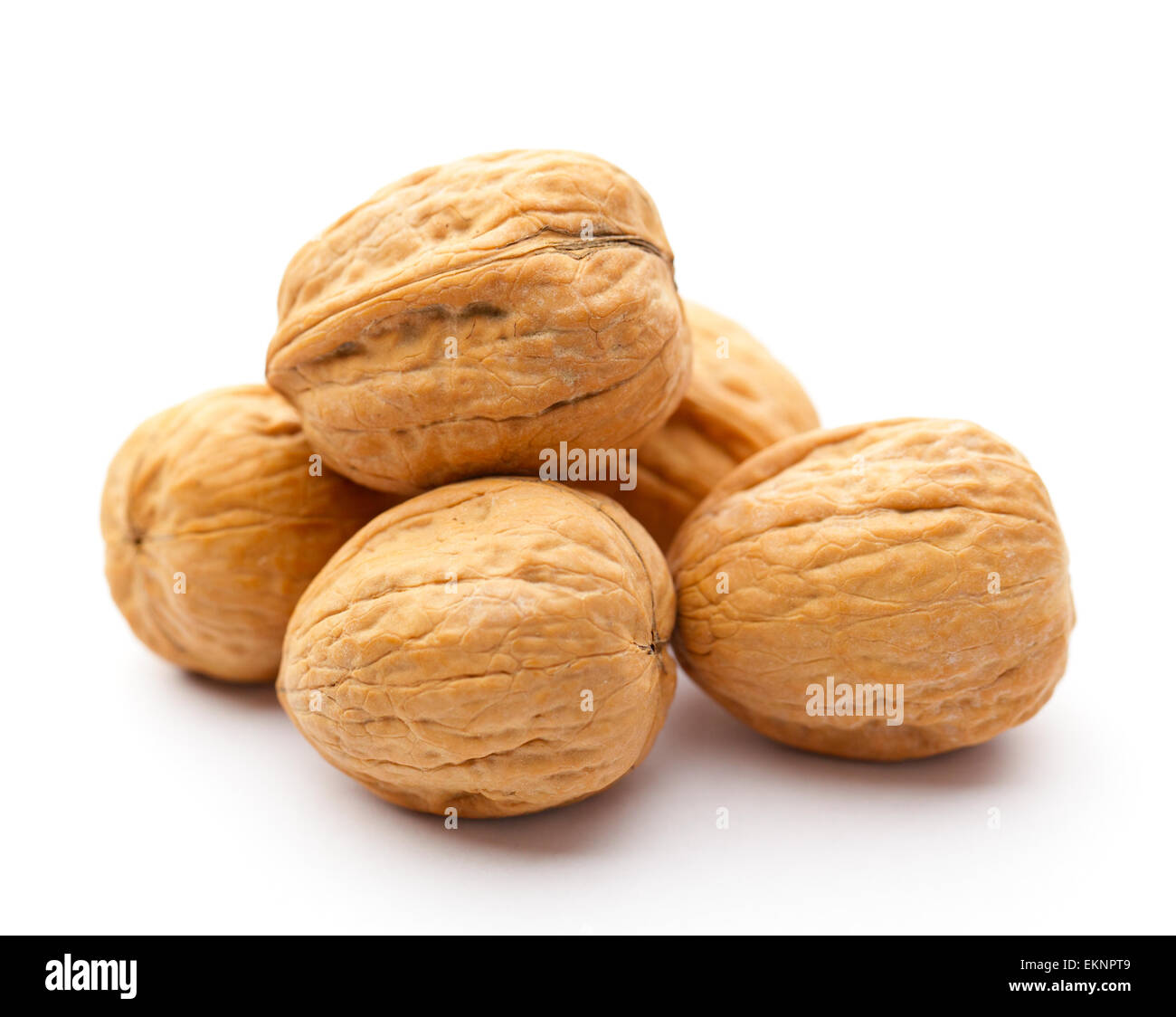 Walnut with shell over white background Stock Photo - Alamy