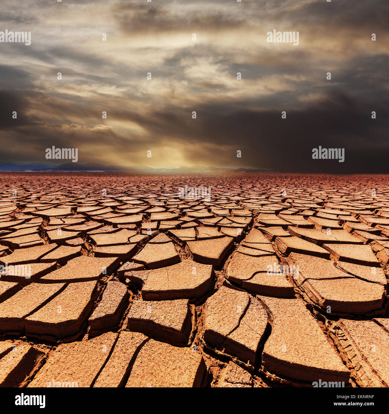 Drought tear hi-res stock photography and images - Alamy