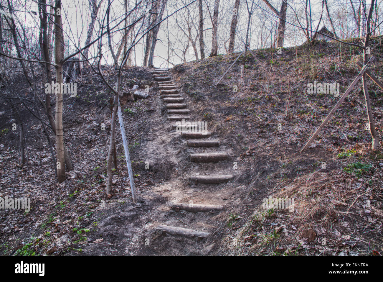 vintage wooden ladder Stock Photo - Alamy