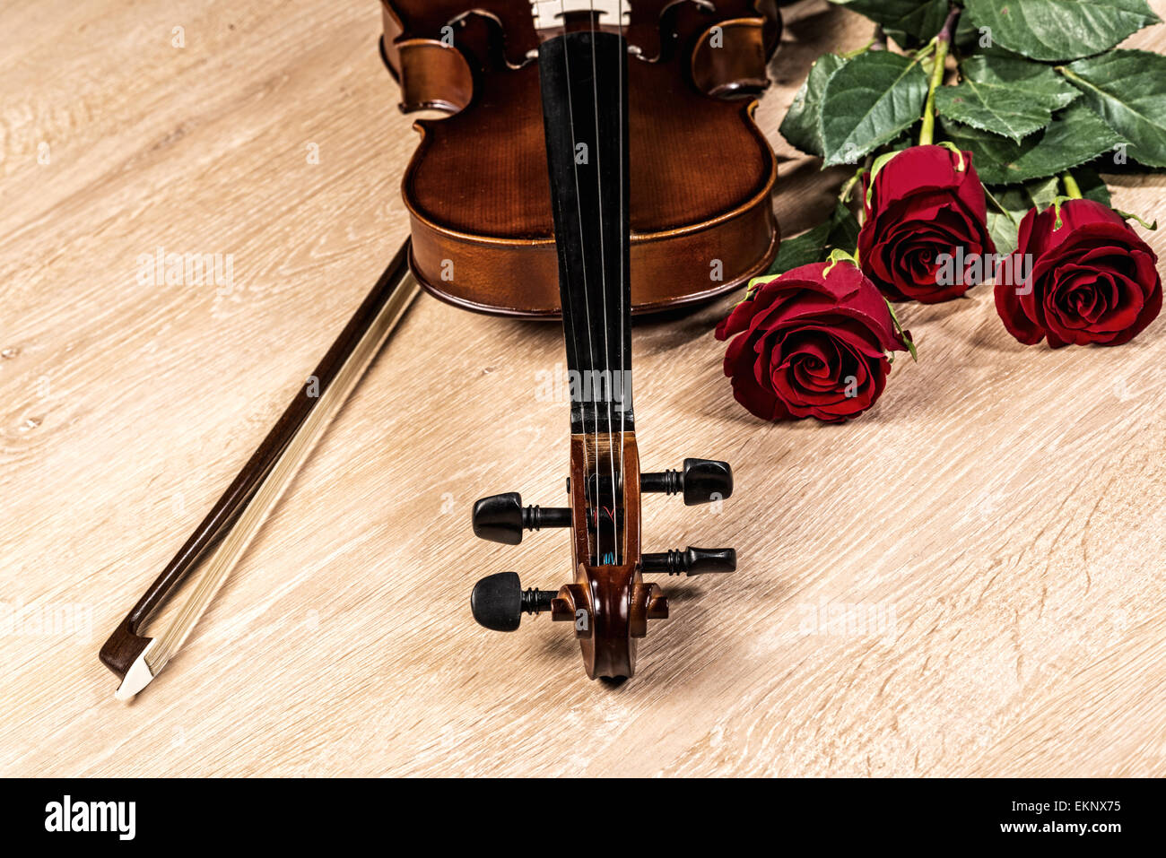 Old violin musical notes rose hi-res stock photography and images - Alamy