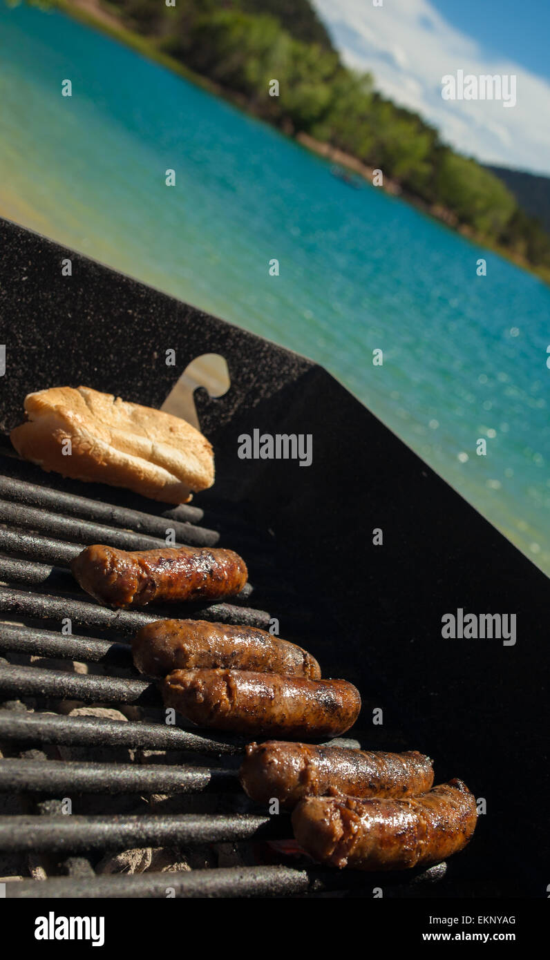 Meat cooking over a barbecue fire Stock Photo - Alamy