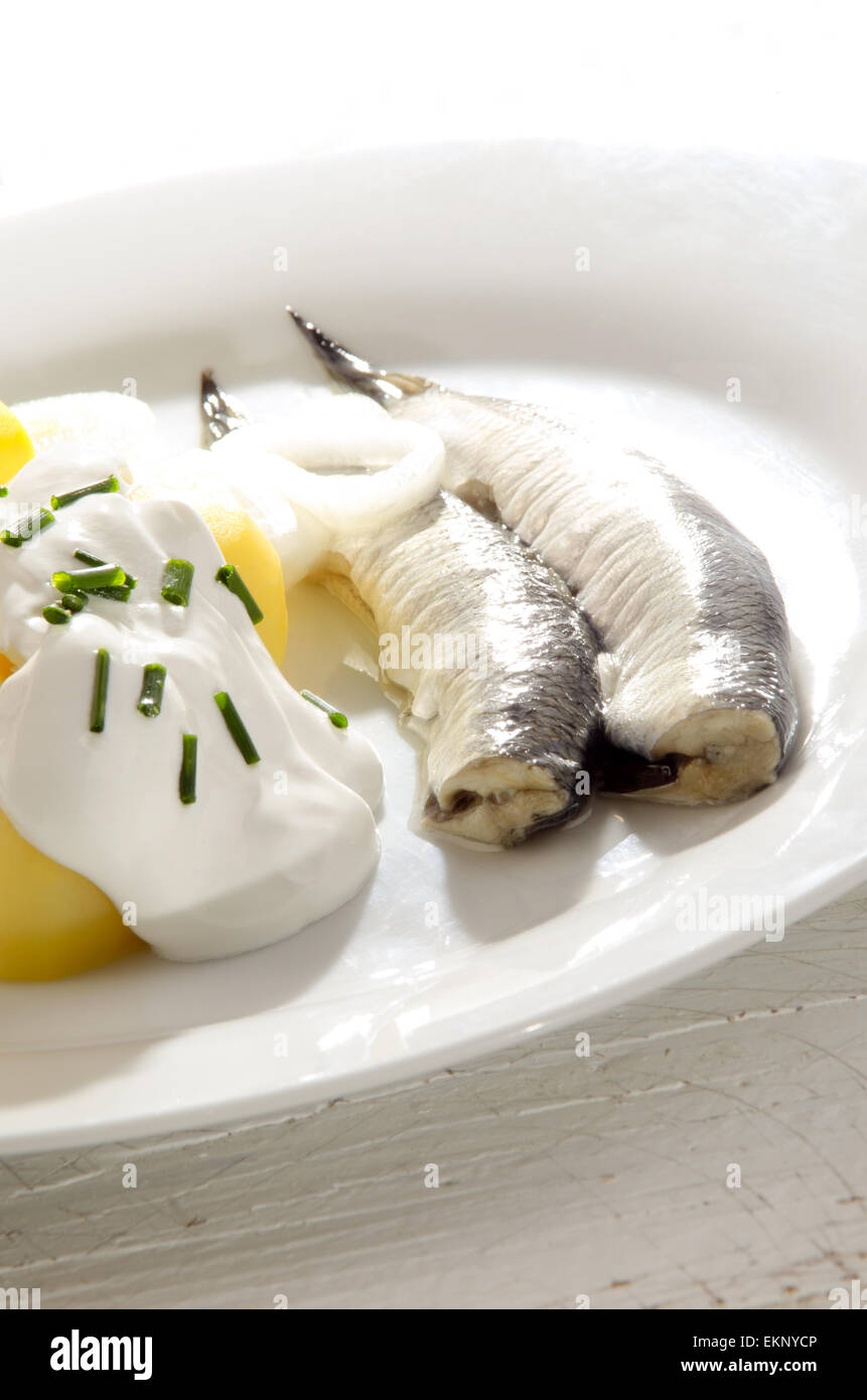 boiled potato with sour herring Stock Photo - Alamy
