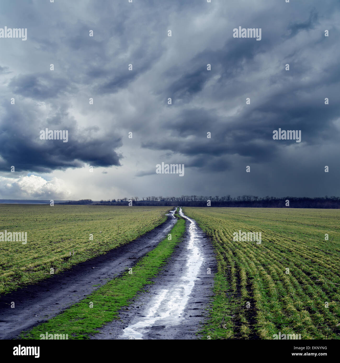 wet dirty road in field under dramatic sky Stock Photo - Alamy