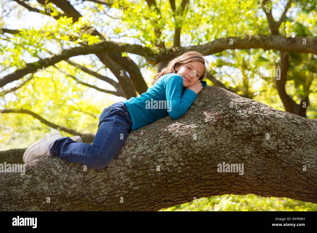 Children kid girl resting lying on a tree branch Stock Photo - Alamy