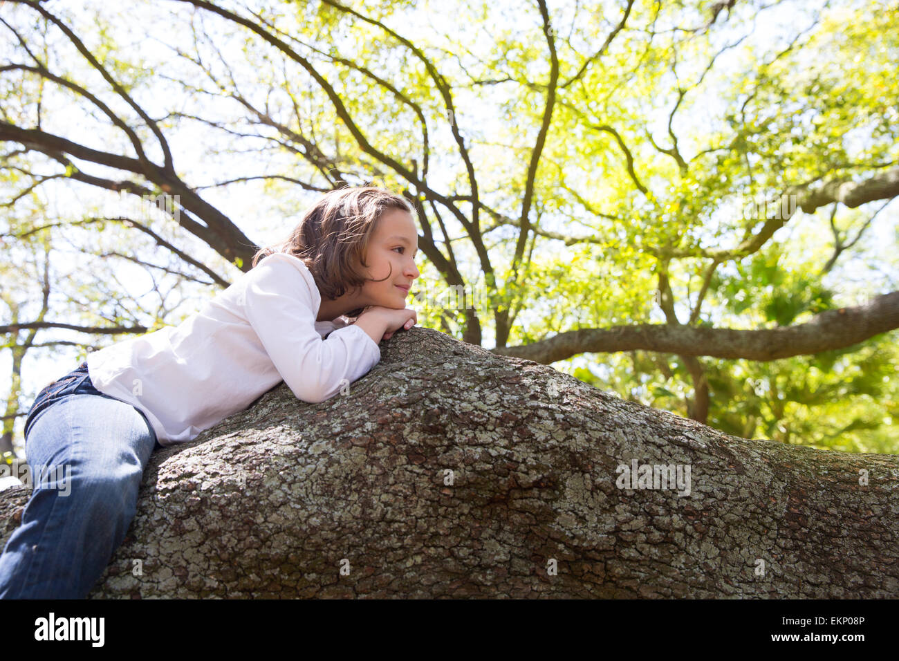Beautiful children kid girl resting lying on a tree Stock Photo - Alamy