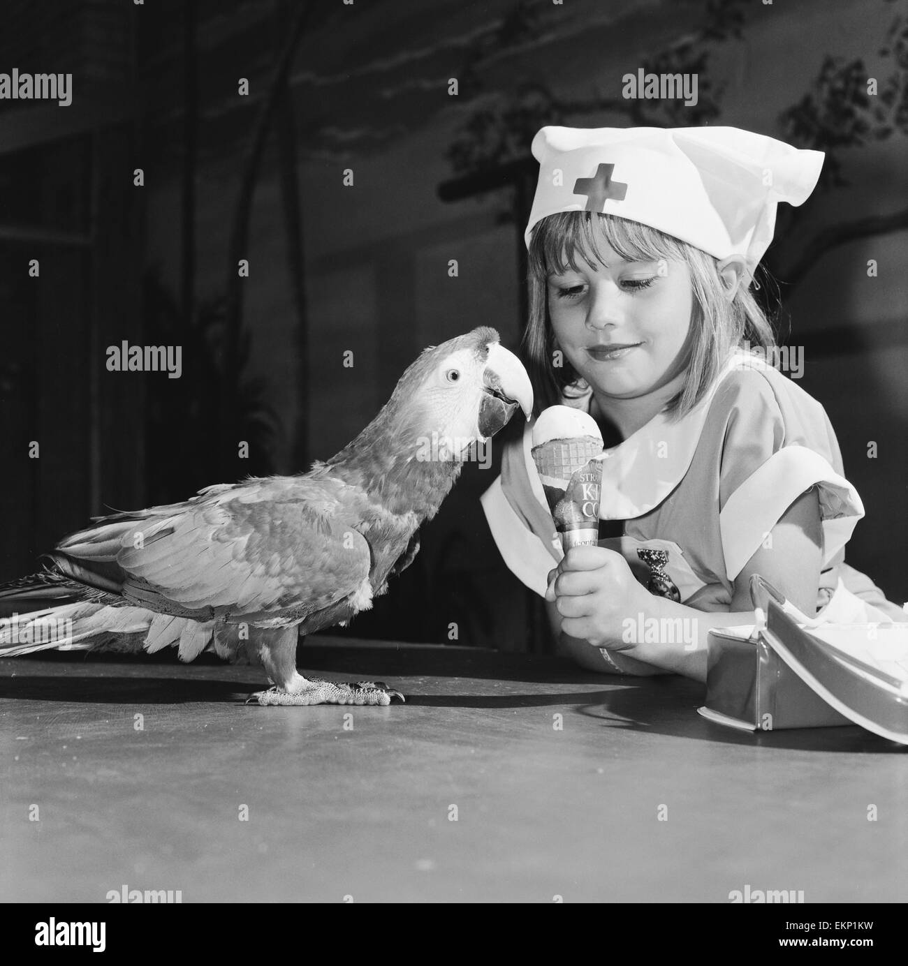 Two of the performing parrots at the Windsor Safari Park were feeling a ...