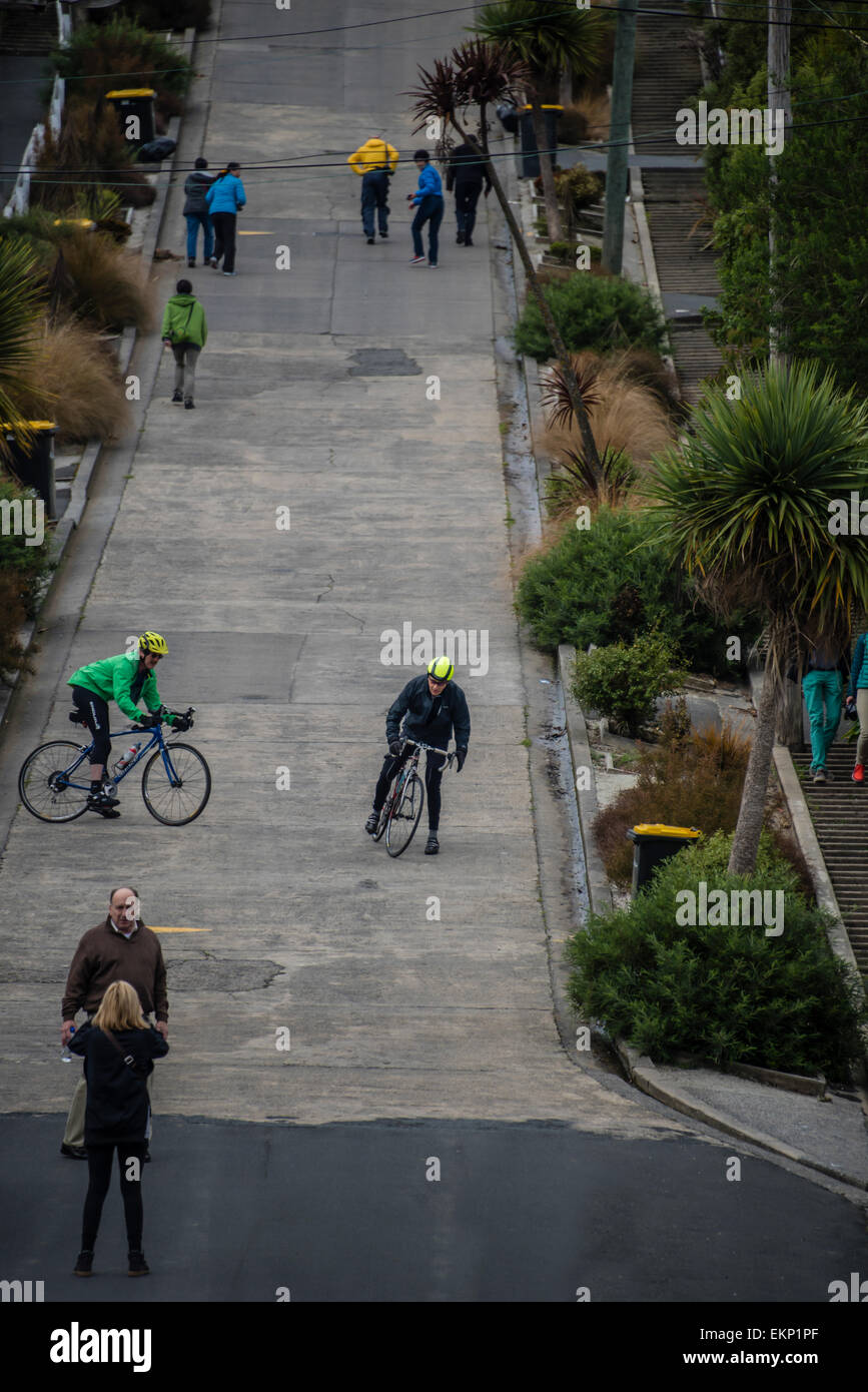 Worlds steepest road gradient hi-res stock photography and images - Alamy